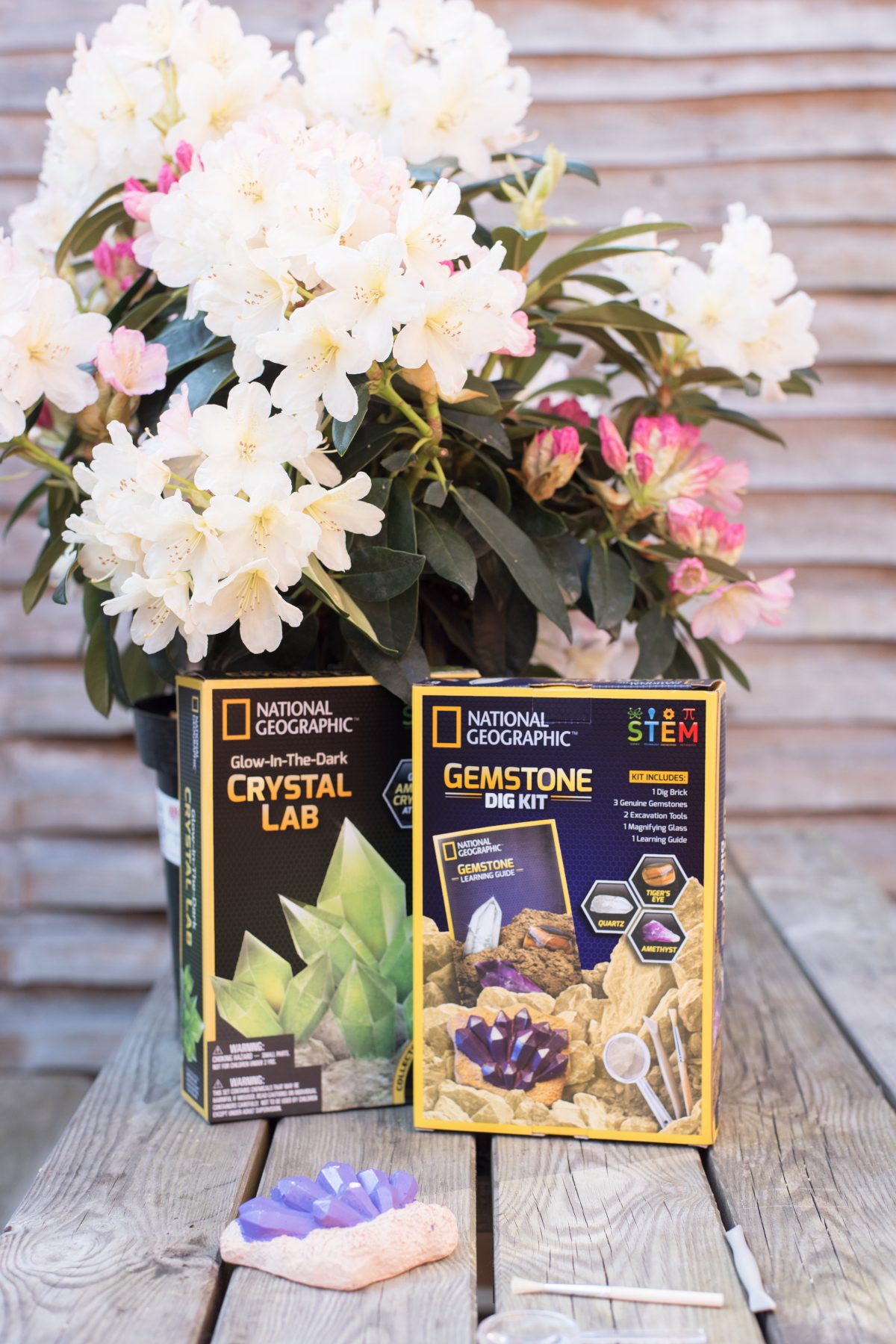 DISNEY’S MOANA: WAYFINDING WITH CODE - Keep Up With The Jones Family