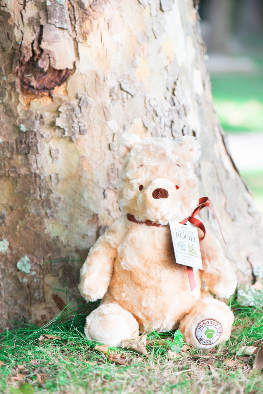 DISNEY'S MOANA: WAYFINDING WITH CODE