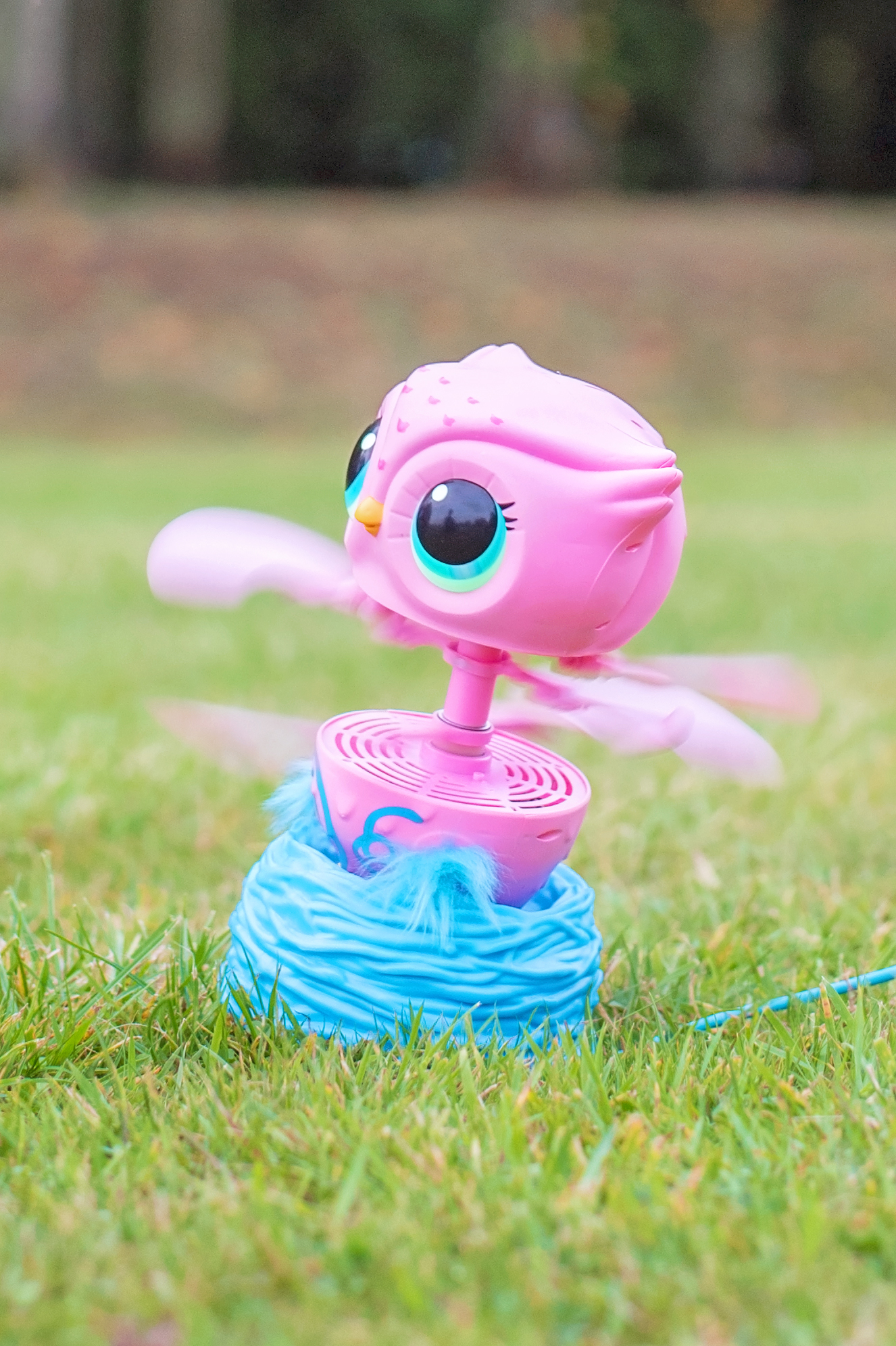 CLEARED FOR FLIGHT – OWLEEZ - Keep Up With The Jones Family